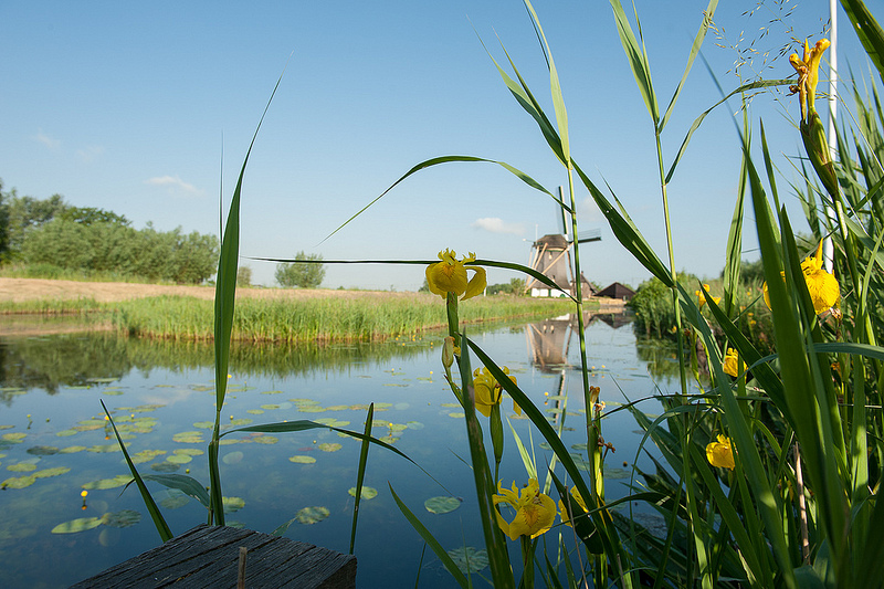 Conservation versus development, differently – Mereconomics