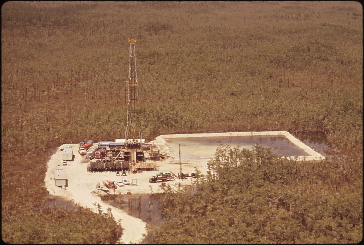 Navigating through the stinky swamp ahead. – Mereconomics